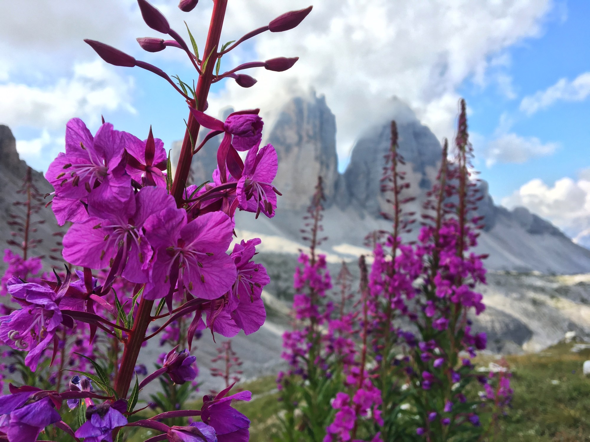 45 Things to Do in Aviano, Italy – Kayla Sheely