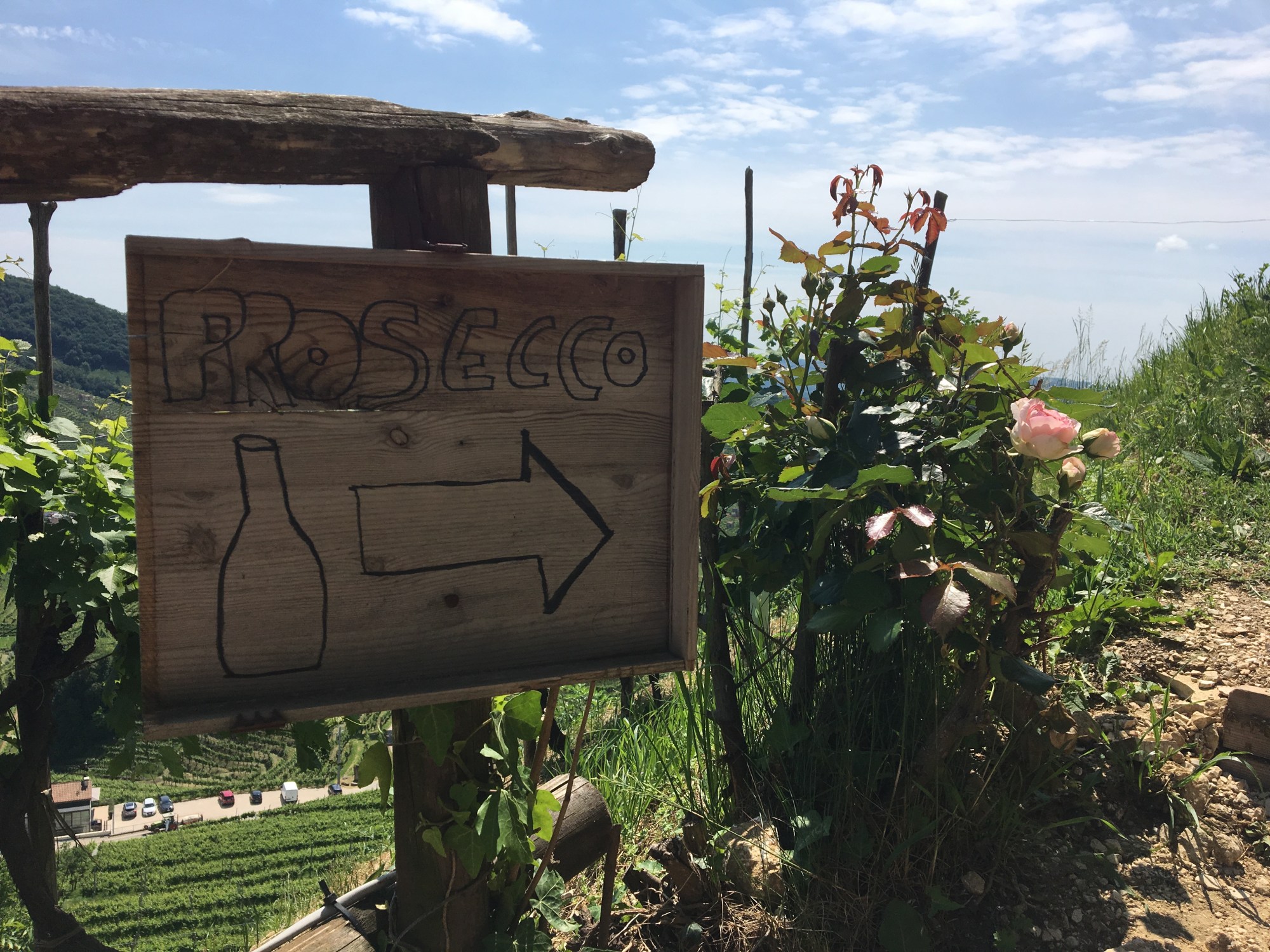 45 Things to Do in Aviano, Italy – Kayla Sheely